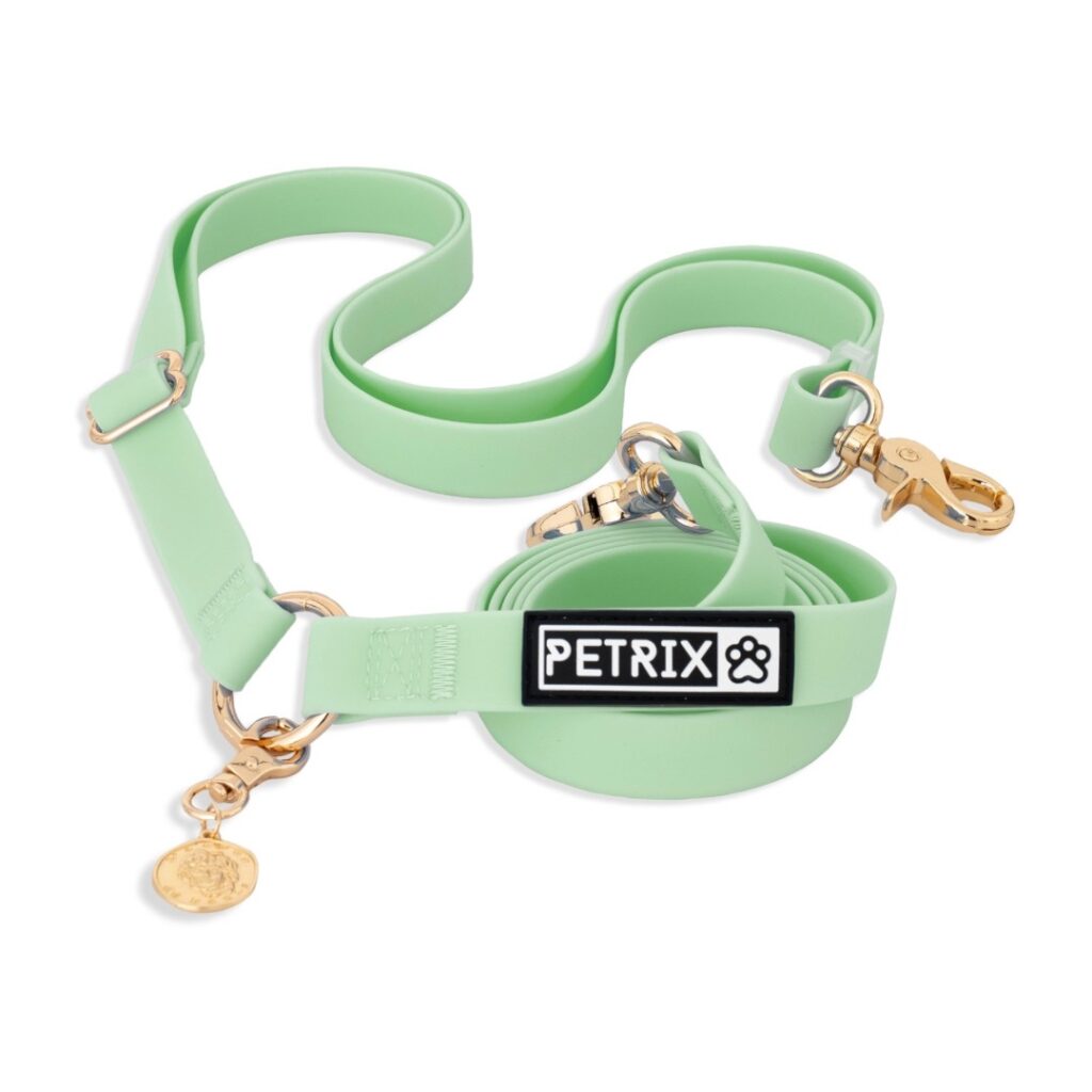 PETRIX משיק רצועות מעוצבות ועמידות לכלבים קרוס באדי HANDS-FREE